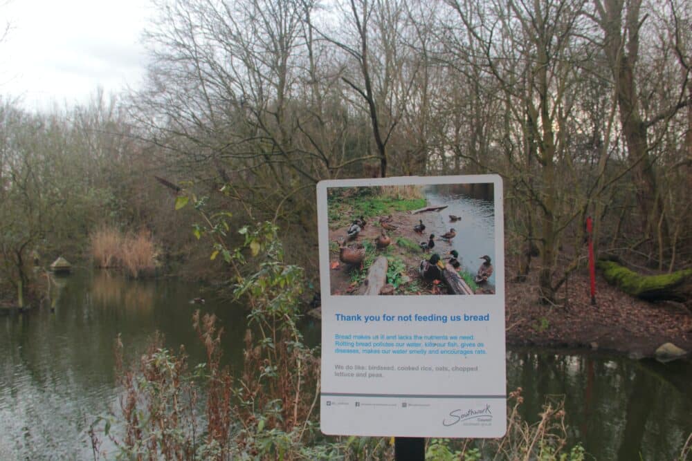 Stave Hill Ecological Park | Alex & Matteo Estate Agents