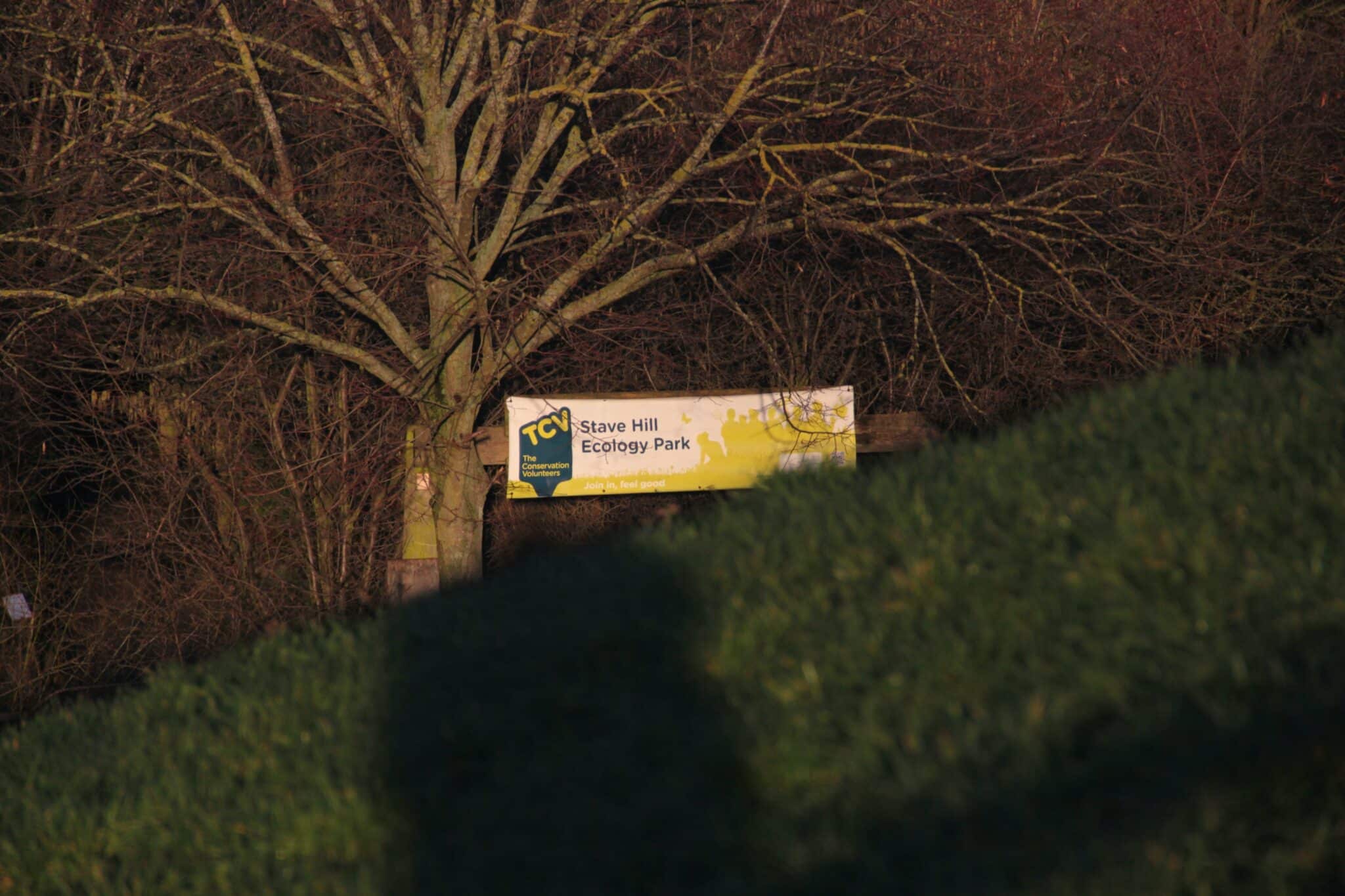 Stave Hill Ecological Park | Alex & Matteo Estate Agents